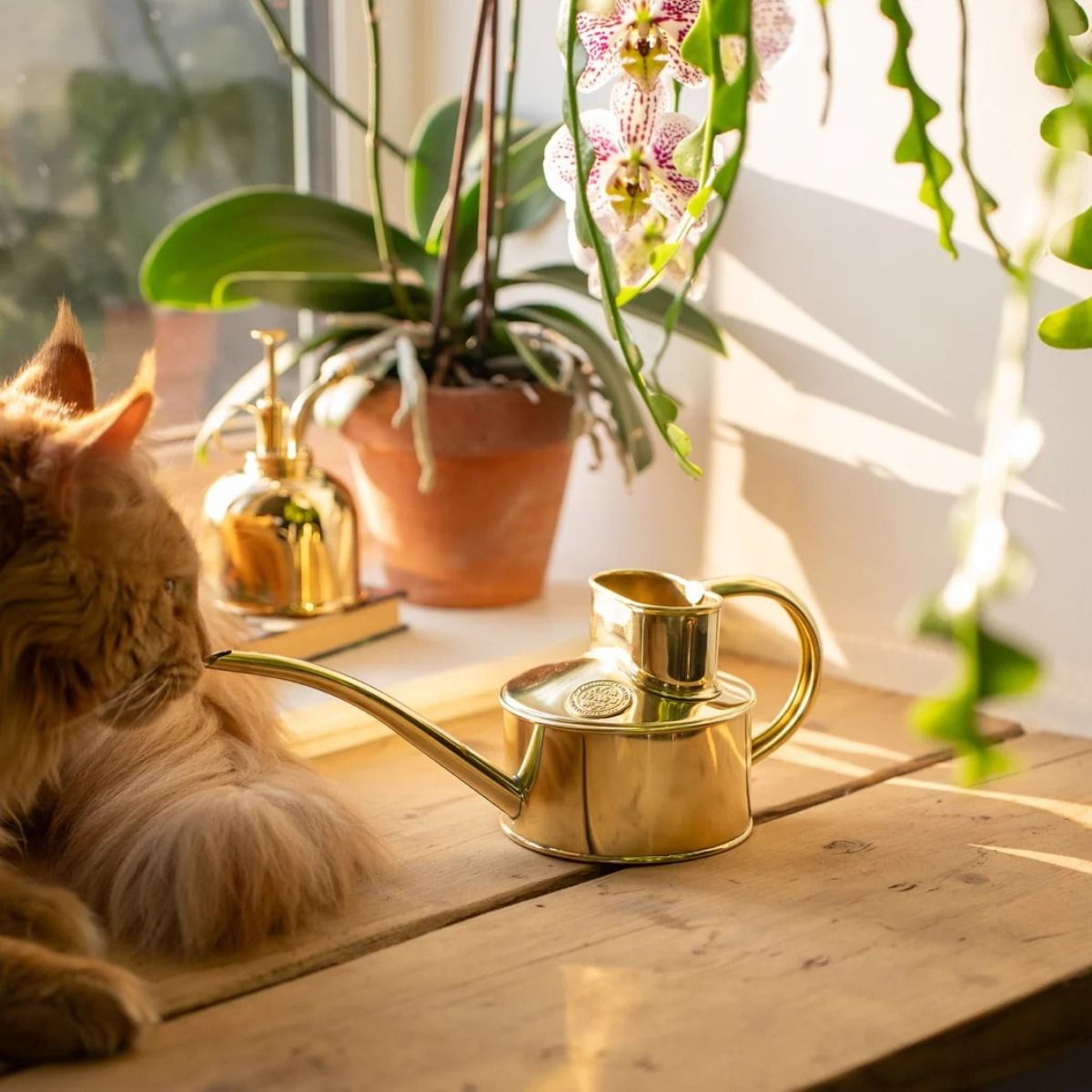 Haws Fazeley Flow Watering Can - 1 Pint, Brass